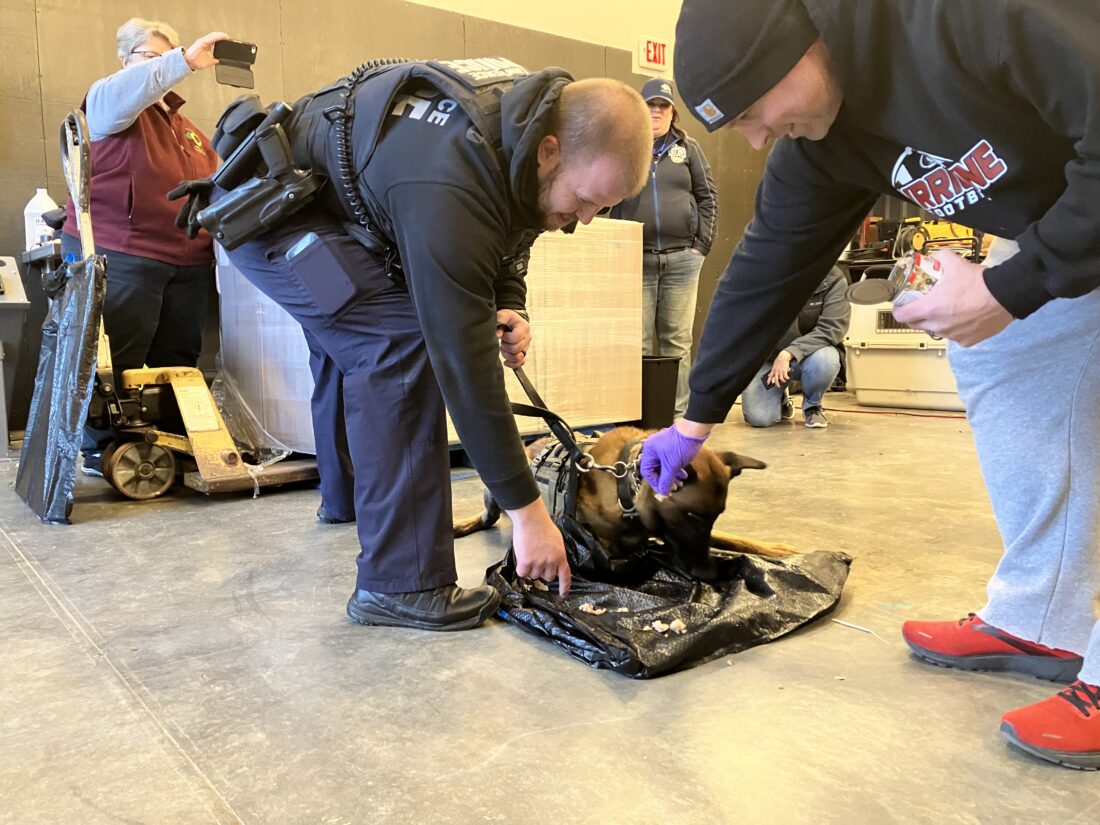 Lawrence police dogs turn their appetites to art; proceeds from their ...